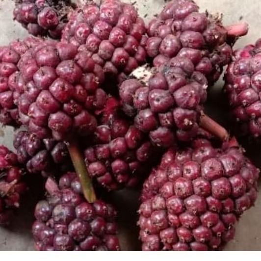 Jual Honje laka honje hitam herbal khas Pangandaran berat 500gr ...