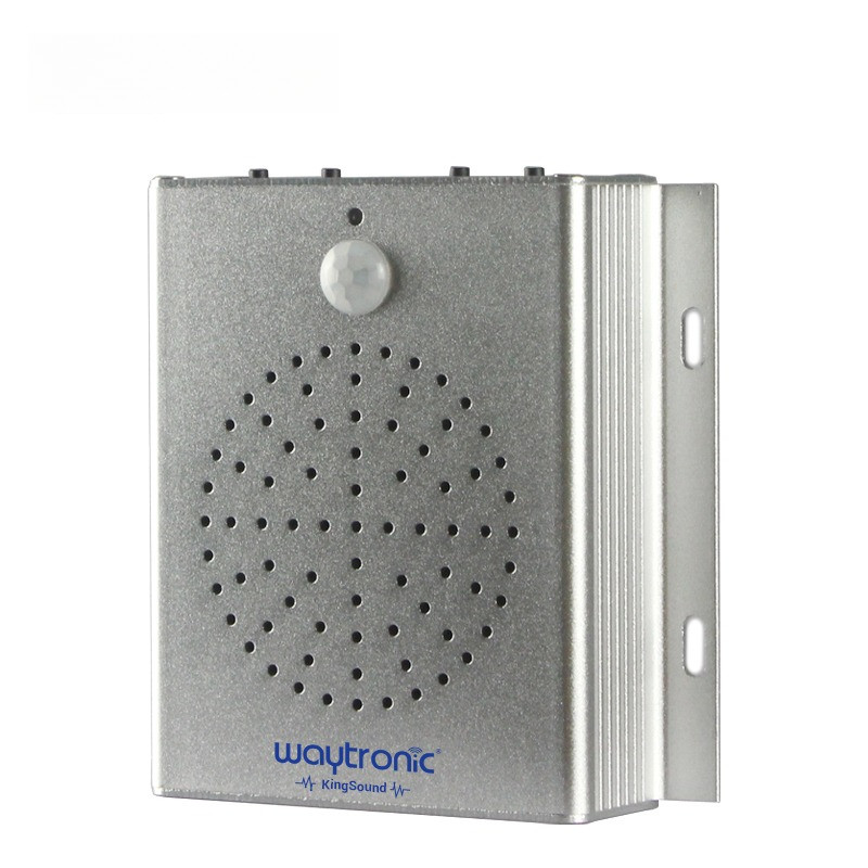 Jual Infrared PIR Sensor Sound Player Speaker Welcome Alarm with Voice ...
