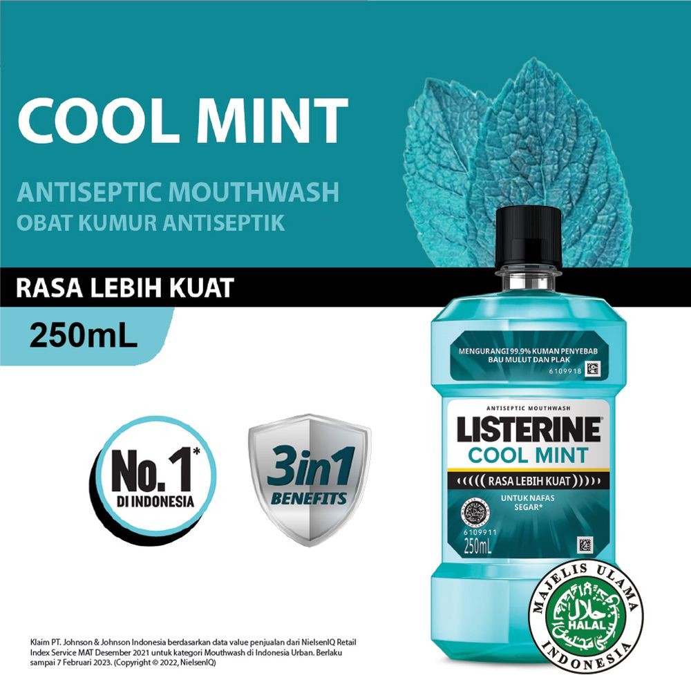 Jual LISTERINE MOUTHWASH ANTISEPTIC COOL MINT 250mL | Shopee Indonesia