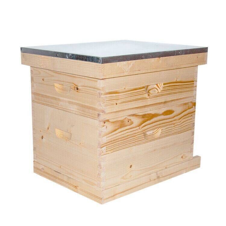 Jual Full Set 7pcs Bee Hive Honey Hive Frame Chinese Fir Wood ...