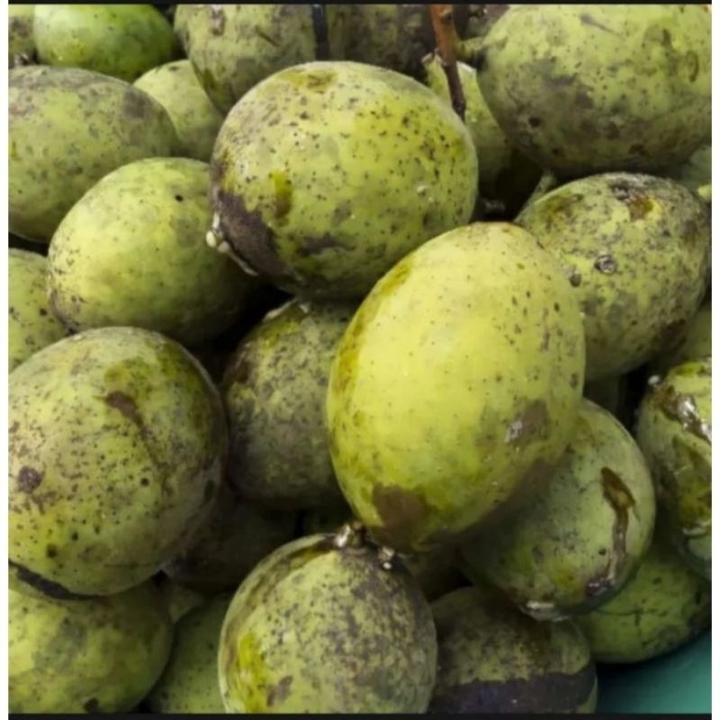 Jual promo buah pakel/limus 1kg | Shopee Indonesia