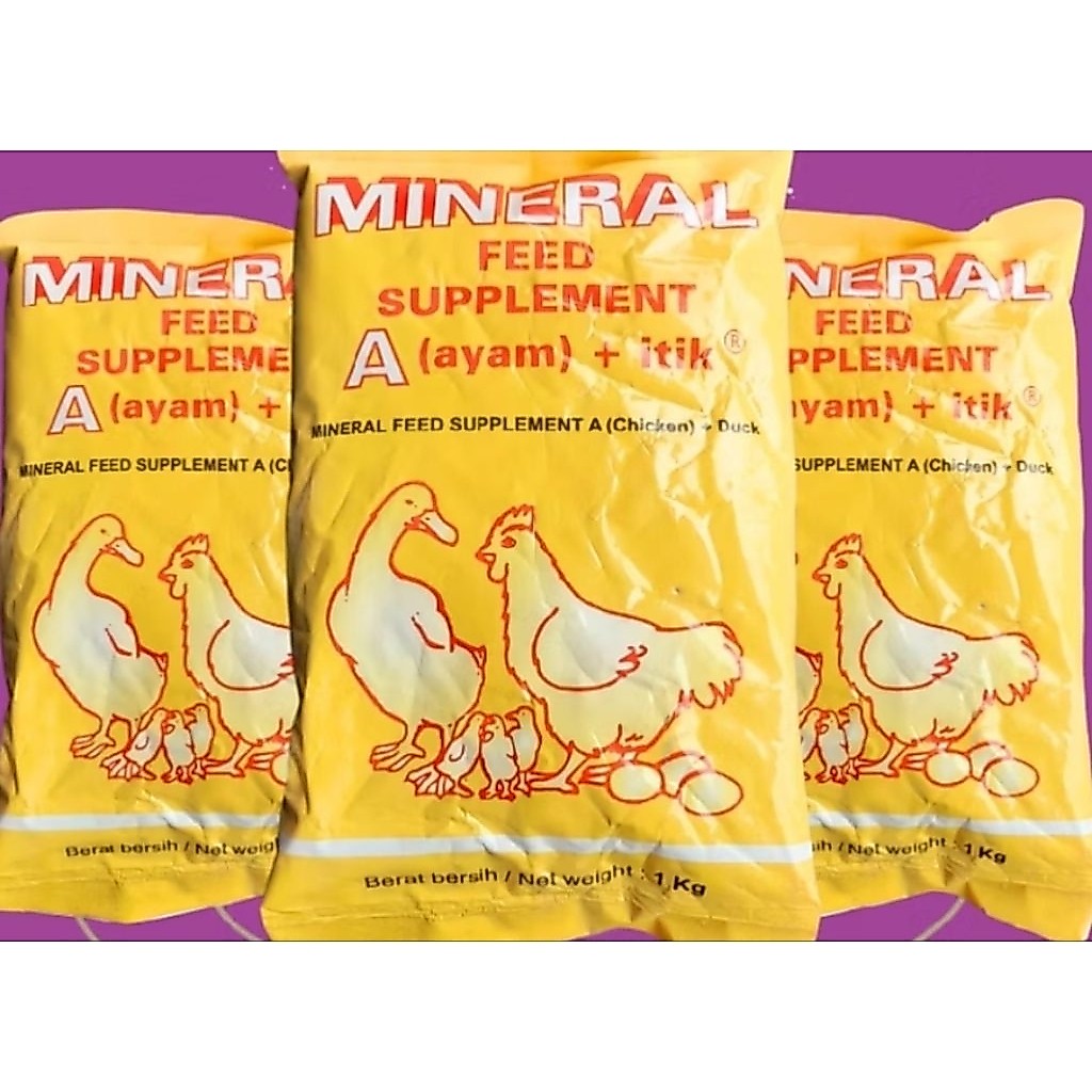 Jual Ayam Ras Petelur Terlengkap & Harga Terbaru Juni 2026 | Shopee ...