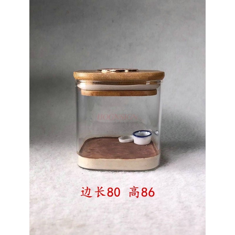Jual Grasshopper Cage Grasshopper Jar Four Seasons Cricket Supplies ...