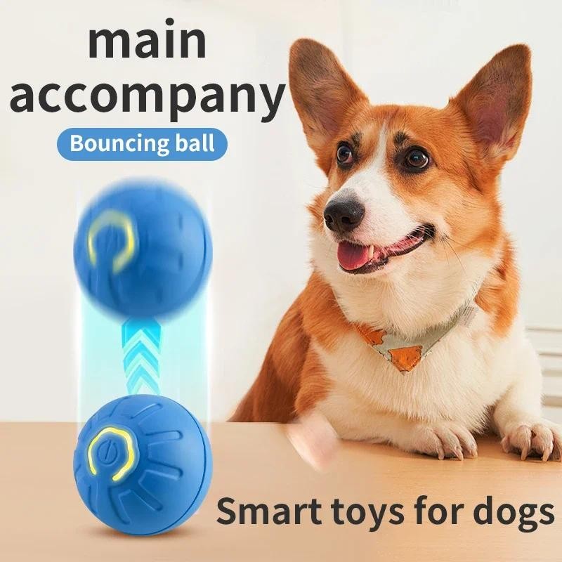 Jual Smart Dog Toy Ball Electronic Interactive Pet Toy Moving Ball USB ...