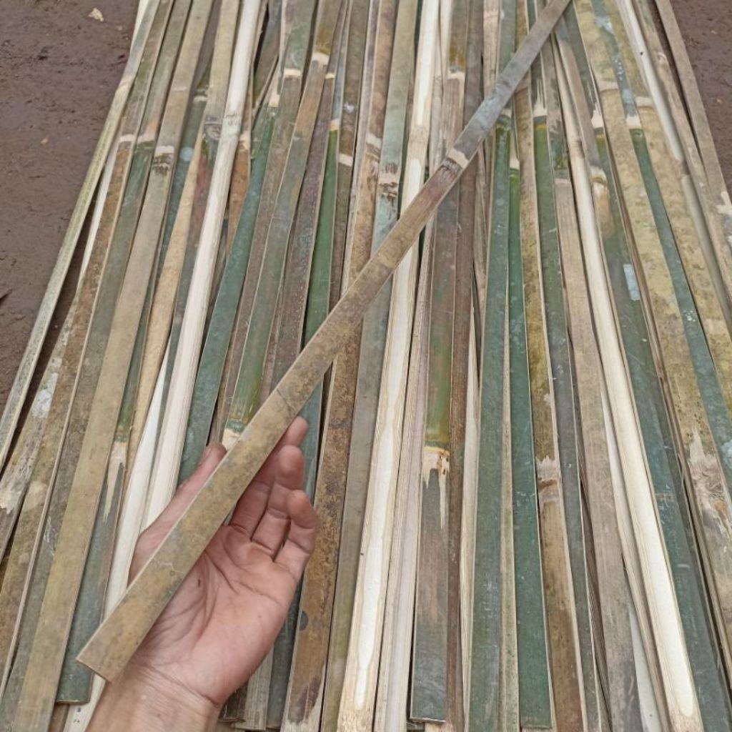 Jual 10 biji bambu bilah 120cm buat cagak tanaman | Shopee Indonesia