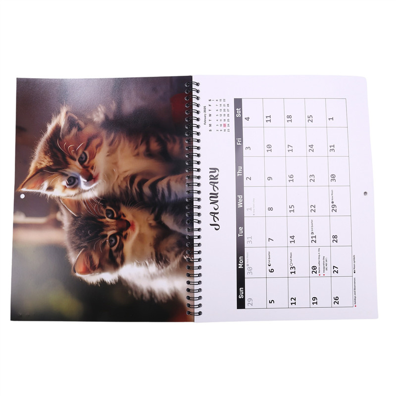 Jual A36T-2025 Calendar Cats Monthly Wall Calendar, Family Planner ...