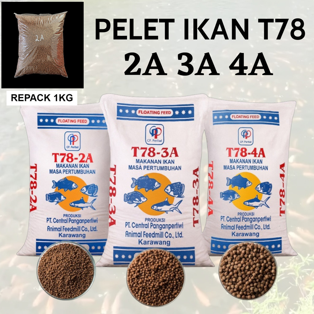 Jual Pelet Apung T78 2a 3a 4a Repack 1kg Pakan Masa Pertumbuhan Ikan ...