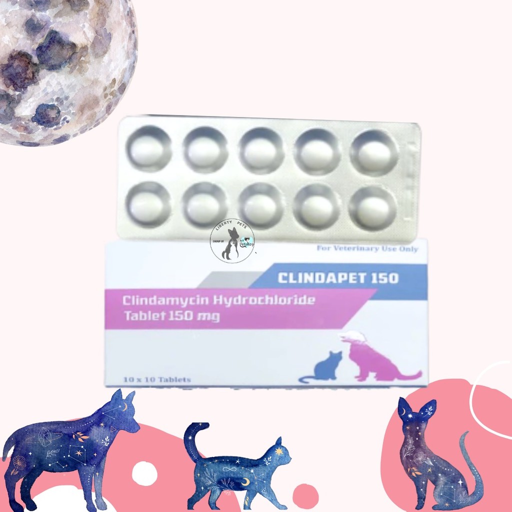 Jual Clindapet Clindamycin 150mg For Cats & Dogs (1 TABLET) - Anti ...