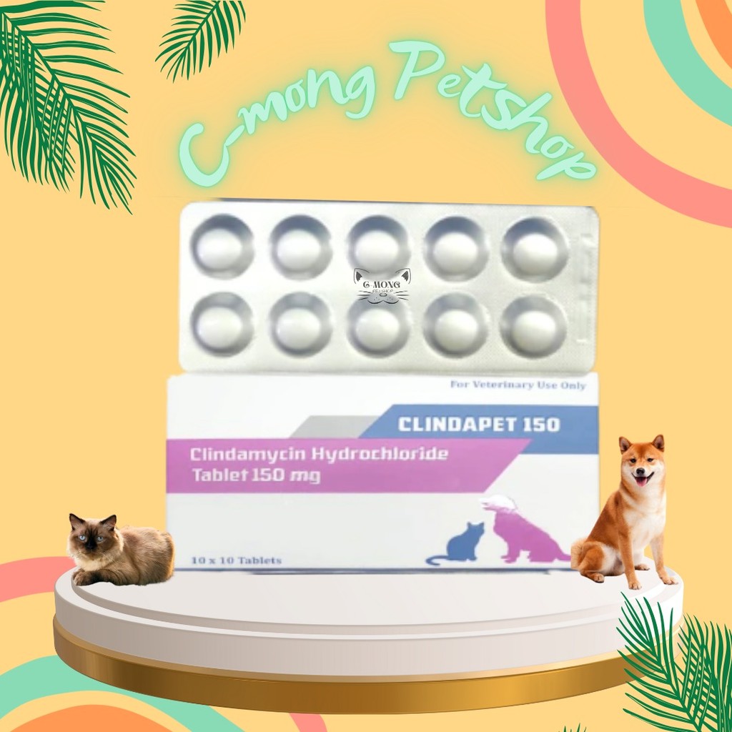 Jual Clindapet Clindamycin 150mg For Cats & Dogs (1 TABLET) - Anti ...