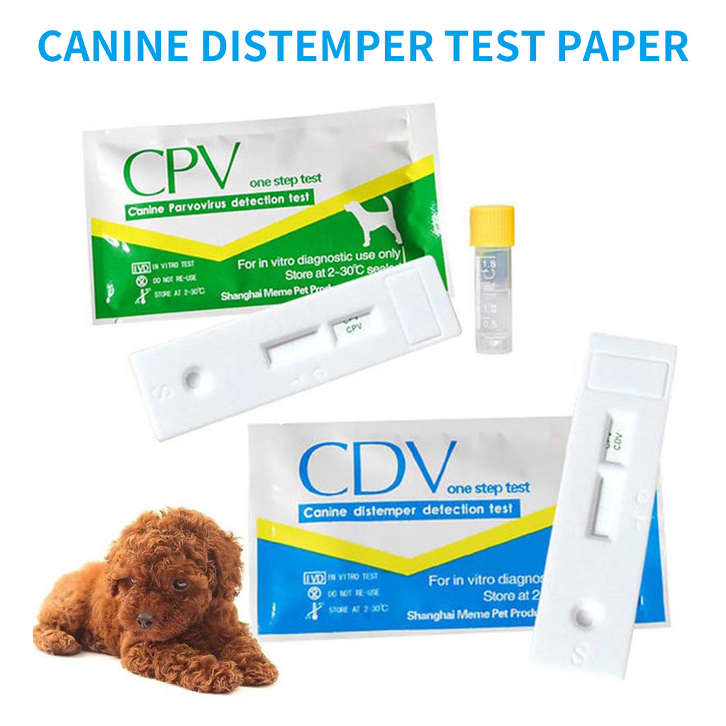 Jual Canine CDV CPV stemper Test Paper Kit Parvovirus Test Paper Kit ...