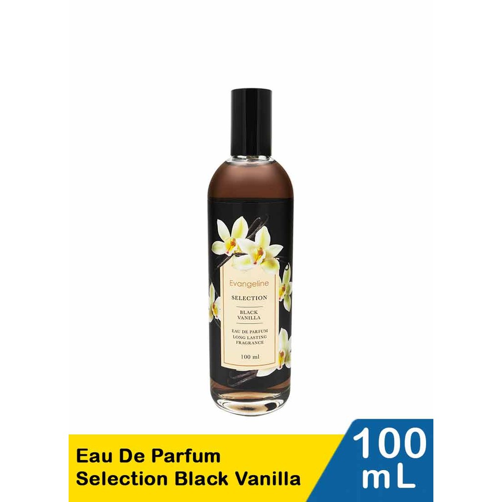 Jual EVANGELINE EAU DE PARFUM SELECTION BLACK VANILLA 100mL | Shopee ...
