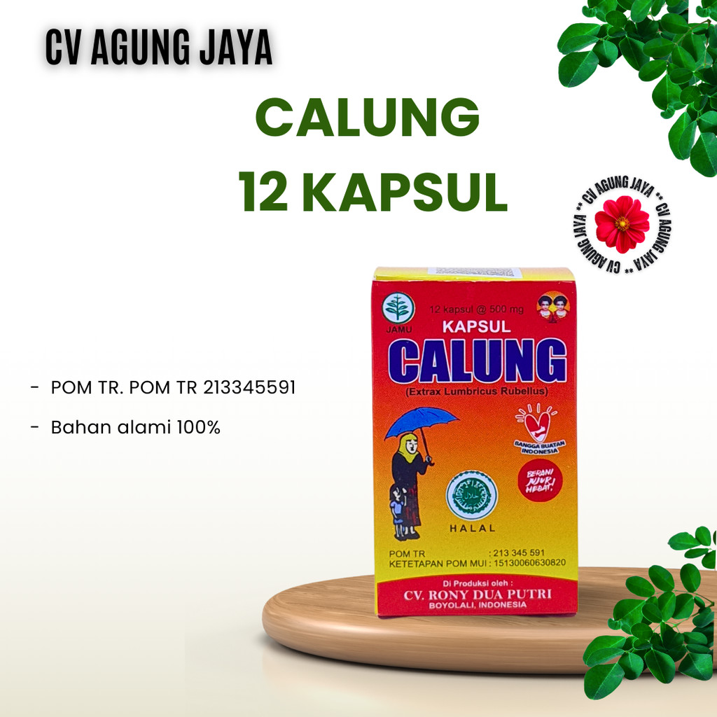 Jual Calung Isi 12 Kapsul / Kapsul Penurun Demam / Kapsul Ekstrak ...