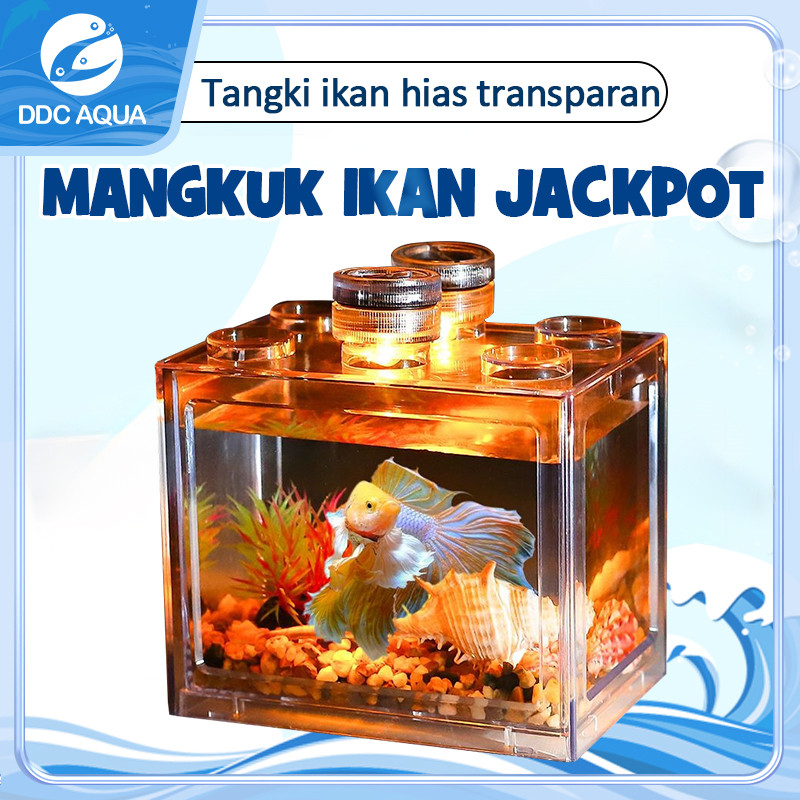 Jual DDC AQUA Aquarium Mini Cupang 12x8cm Akrilik Akuarium Block Ikan ...