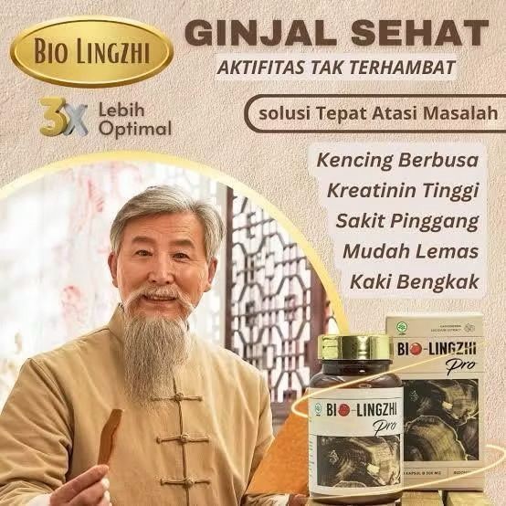 Jual Biolingzhi Pro Obat Kapsul Herbal Atasi Ginjal Infeksi Saluran ...