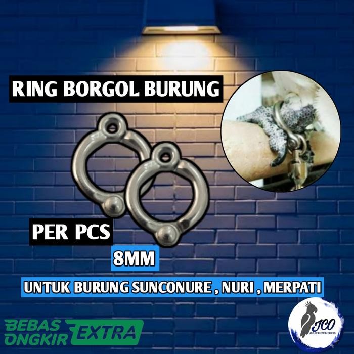 Jual RING BORGOL 8MM RING BORGOL BURUNG SUNCONURE NURI RING KAKI BURUNG ...
