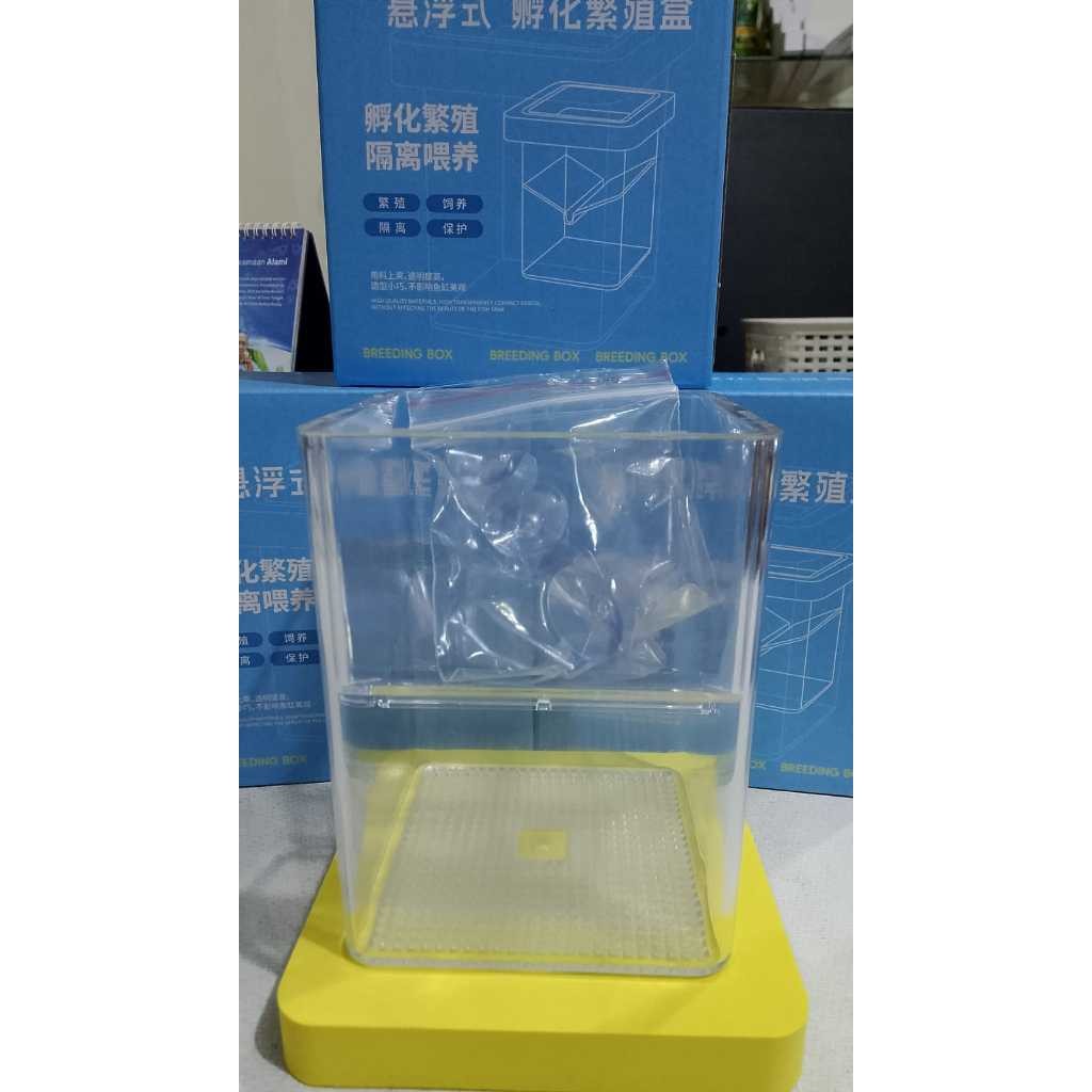 Jual BREEDING BOX / KARANTINA IKAN GUPPY PLATY SWORDTAIL KUALITAS ...