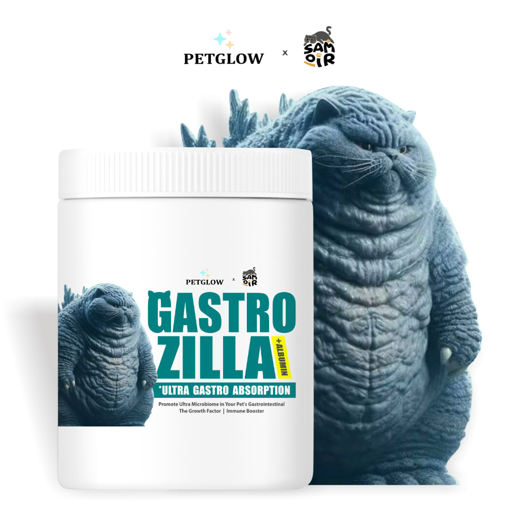 Jual PROBIOTIK KUCING Gastro Zilla by Petglow x Samoir Cat Probiotic ...