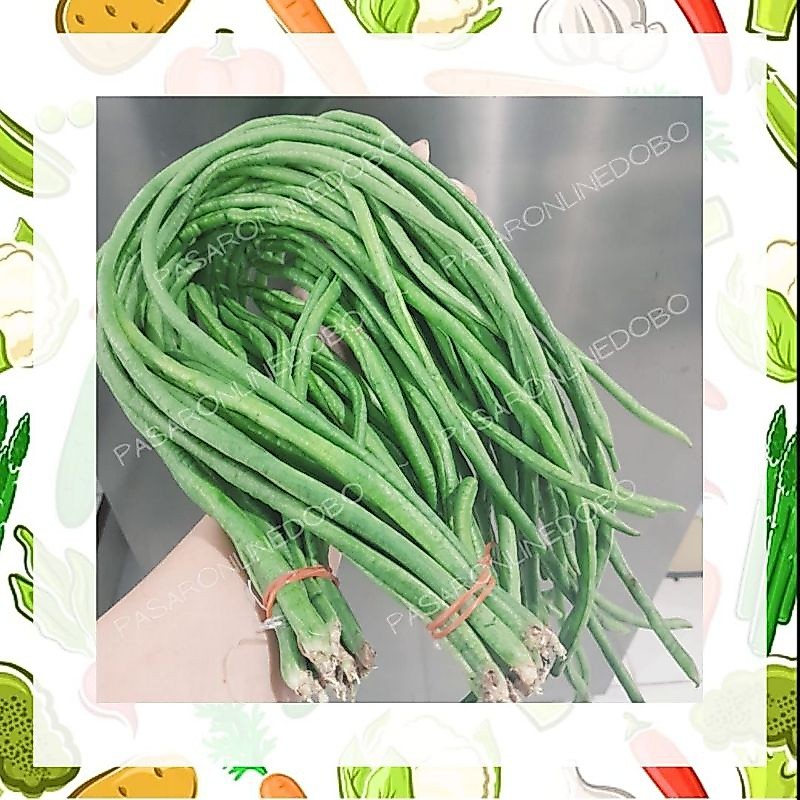 Jual Harga Kacang Panjang 1 Kg Terlengkap & Harga Terbaru Juni 2026 ...