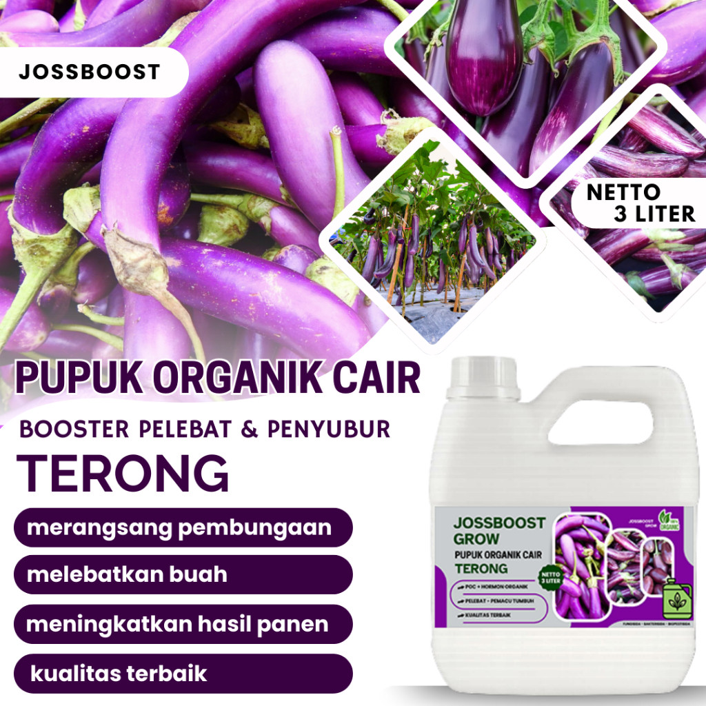 Jual Pupuk Organik Cair JossBoost Grow Khusus Tanaman TERONG- Nutrisi Lengkap untuk Hasil Panen ...