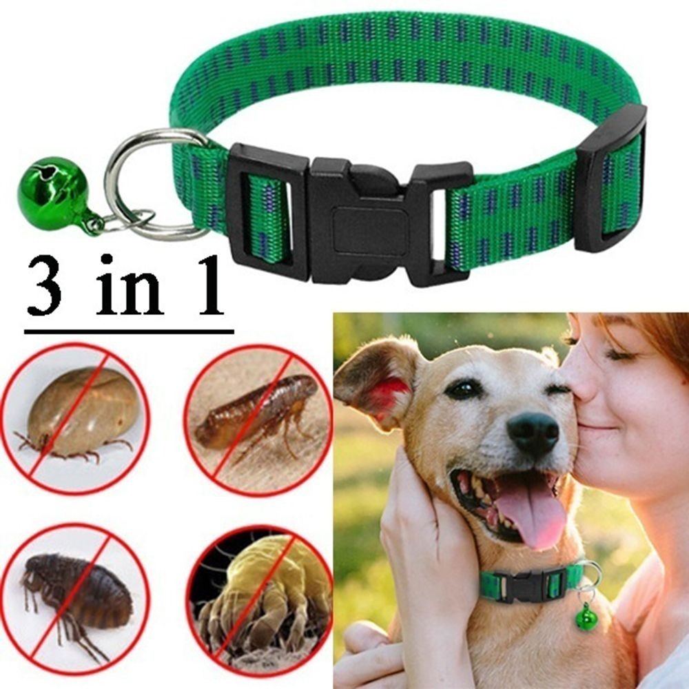 Jual Adjustable Safety Mosquitoes Kill Insect Insecticidal Dog Collar ...