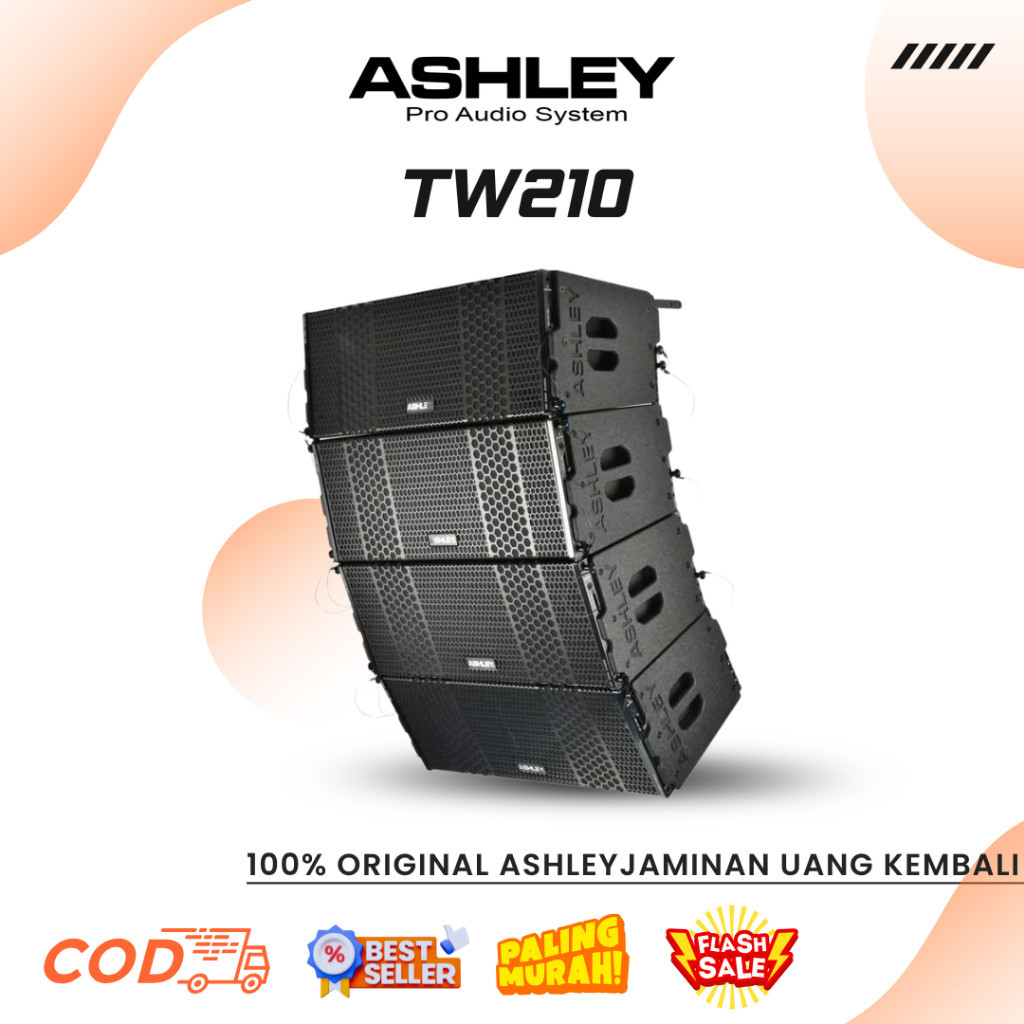 Jual Line Array Ashley TW 210 Professional Line Array Speaker | Shopee ...
