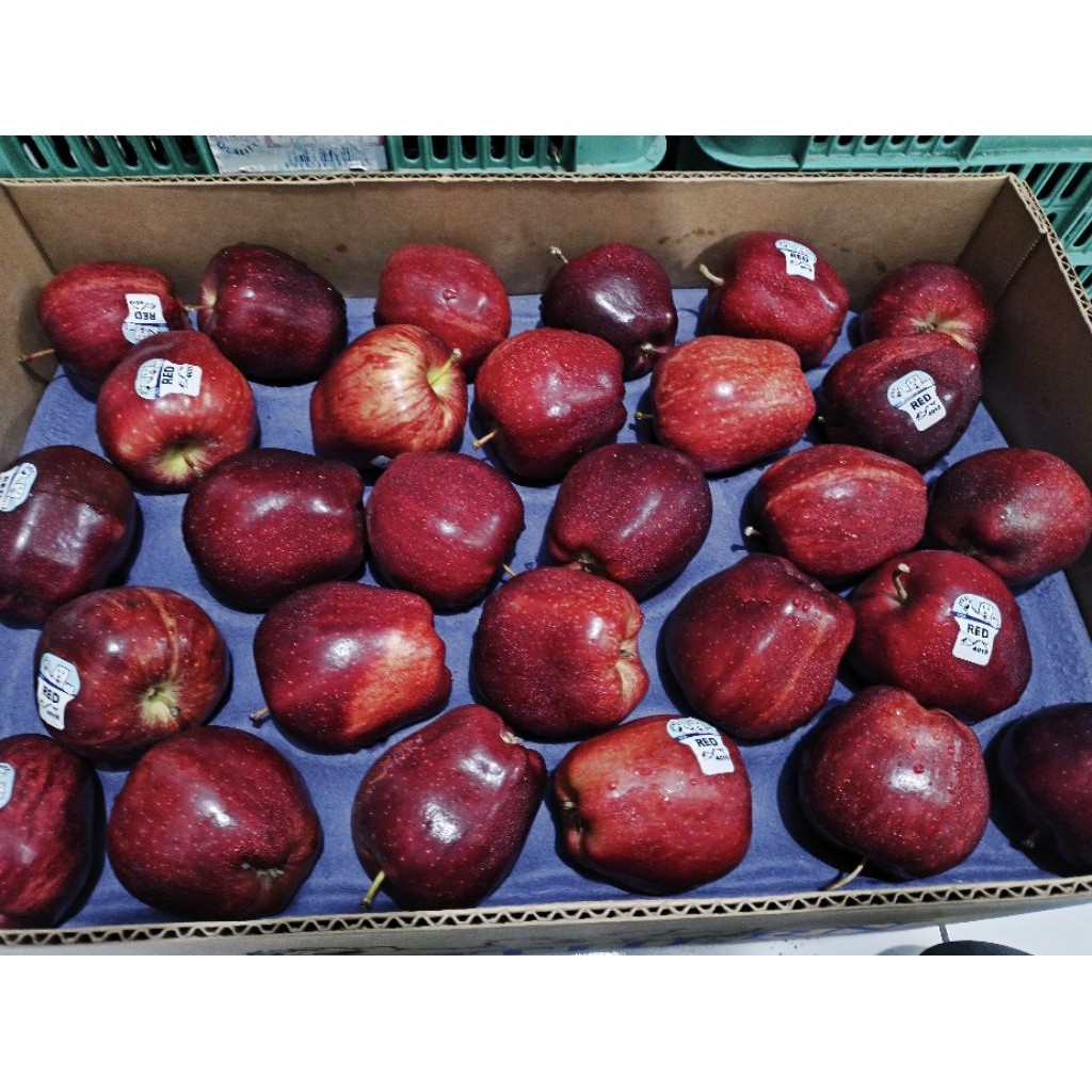 Jual Apel Washington Import – Buah Segar Manis Renyah Asli USA | Shopee ...