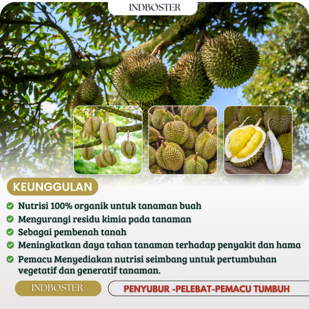 Jual Pupuk Durian Supaya Cepat Berbuah / Pupuk Durian Supaya Subur dan Berbuah / Pupuk Durian ...