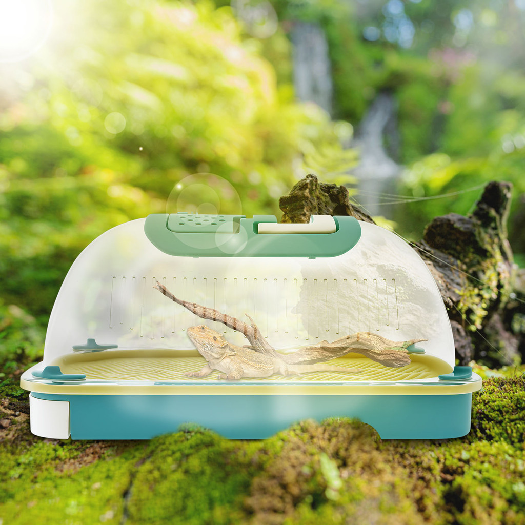 Jual Clear Reptile kennel Feeding Box Lizard kennel Insect Snail Spider ...