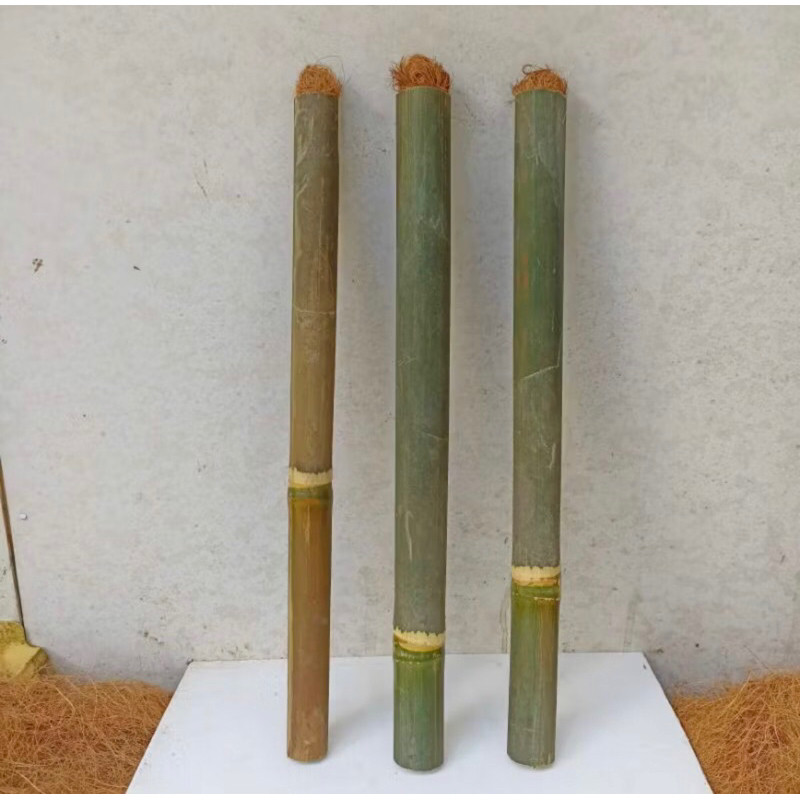 Jual promo Obor Bambu Tradisional/Obor Bambu Tamiang/Obor Bambu ...