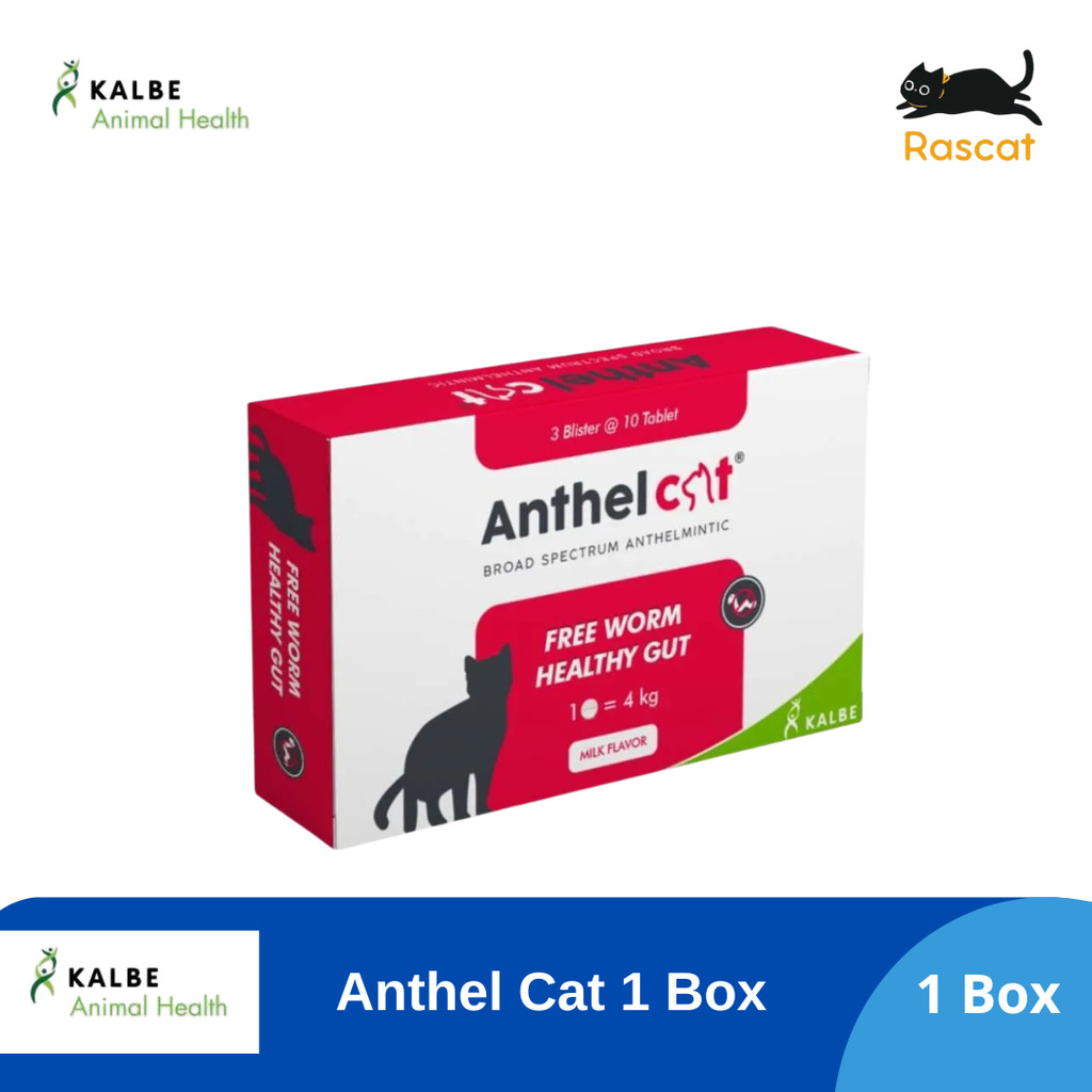 Jual Anthel Cat / Obat Cacing Kucing 1 Box / Original Kalbe Animal ...