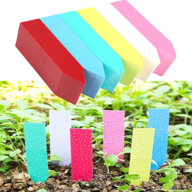 Jual Plant Tree Labels Markers Tags PVC Plastic Strip Nursery Pot ...