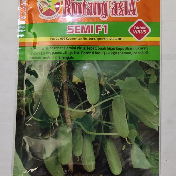 Jual Sahabat Tani5 Benih baby timun SEMI F1 20 gram ketimun mini ...