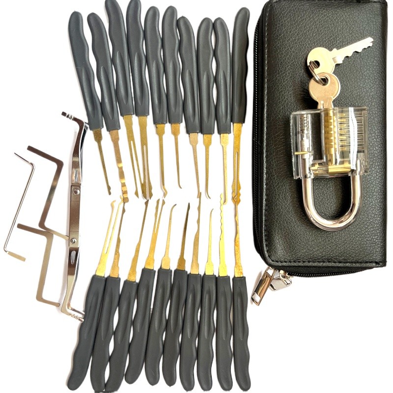 Jual 25in1 /24in1 Titanium Locksmith Picking Locksmith Master Key Picks ...