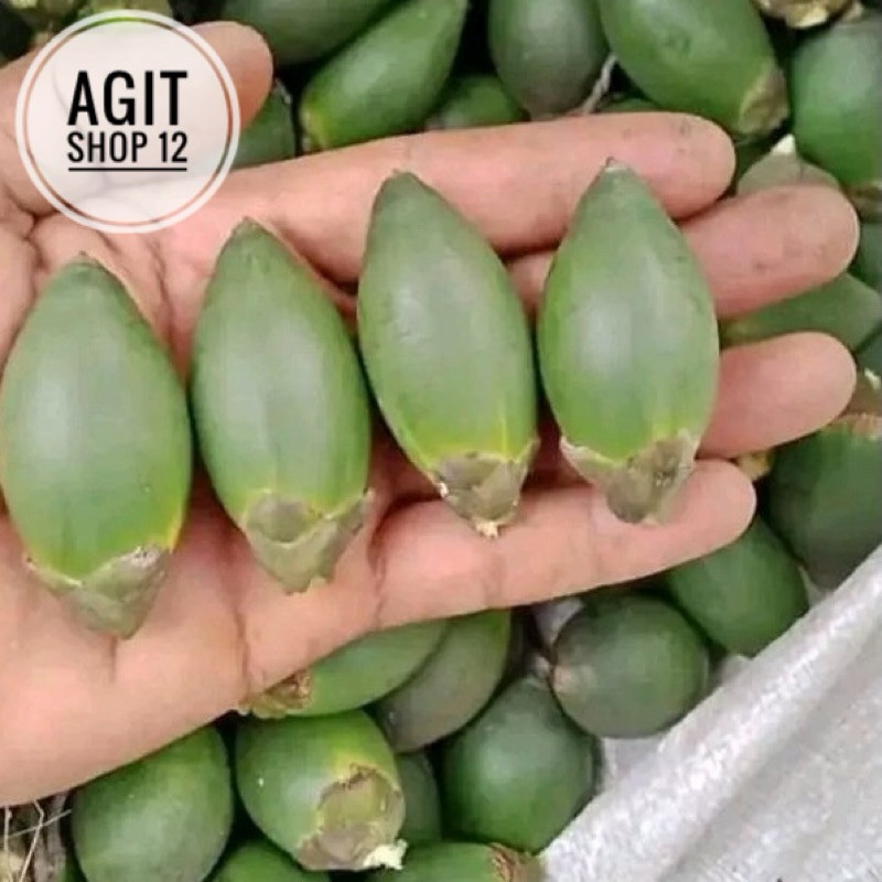 Jual PROMO PINANG MUDA / JAMBE MUDA 500 gram FRESH DAN SEGAR | Shopee ...