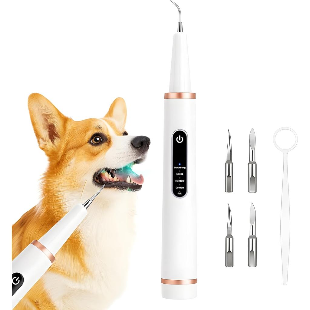 Jual Dog Cat Grooming Smart Dental Ultrasonic Scaler Household Tooth ...
