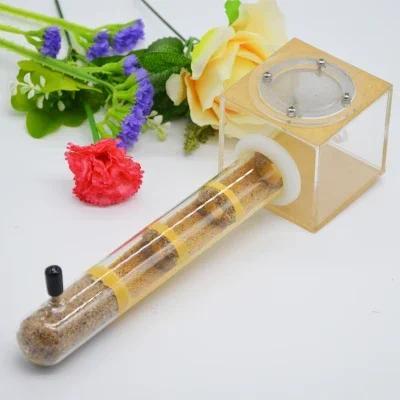 Jual 1PCS Bamboo Ant Test Tube Nest 30mm*200mm Single Test Tube Nest ...