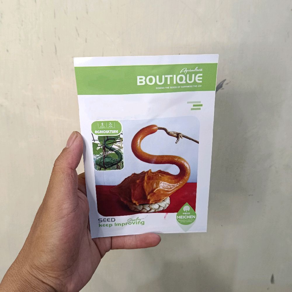 Jual Benih Labu Leher Bangau (Swan Gourd) – Unik untuk Dekorasi ...