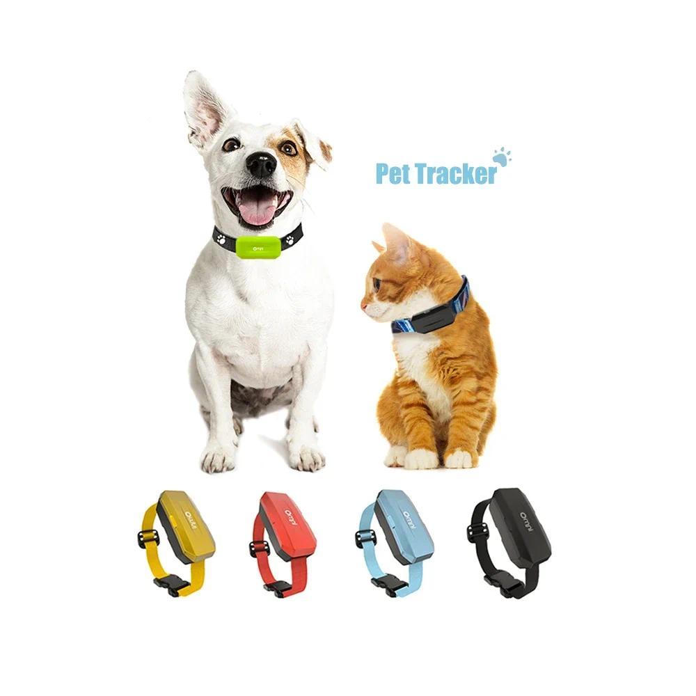 Jual Professional Waterproof Wireless Smart Real Time Animal Safe Track ...