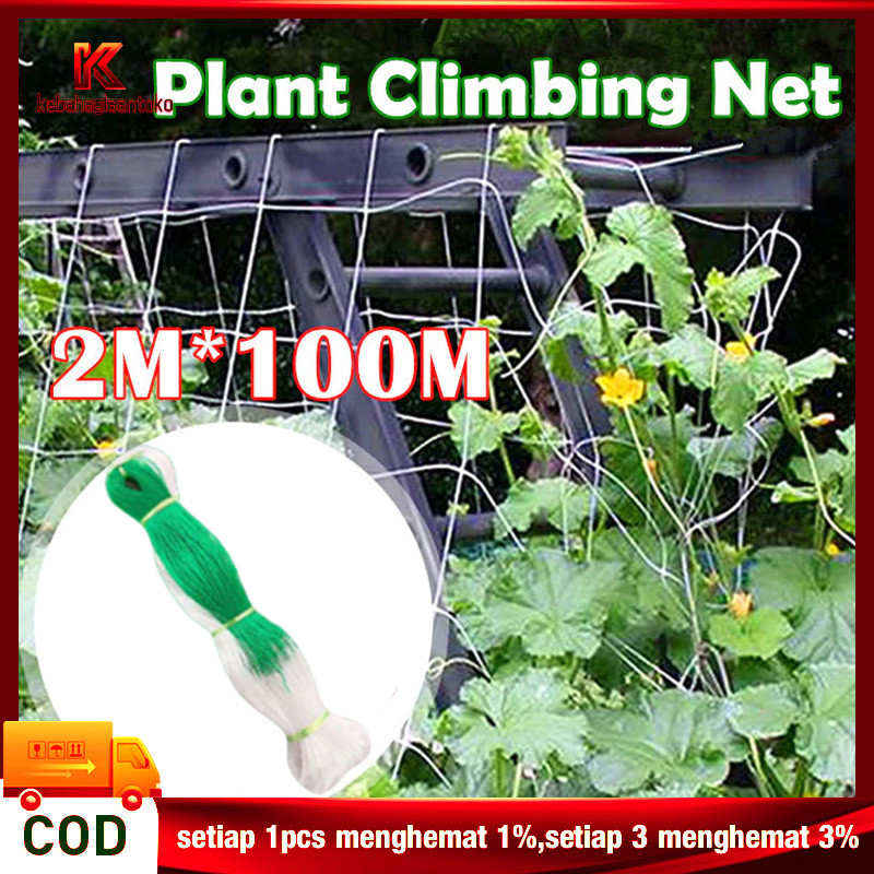 Jual 2M X 100M Jaring Tanaman Buah Anggur Sayuran Tanaman Rambat/Jaring ...