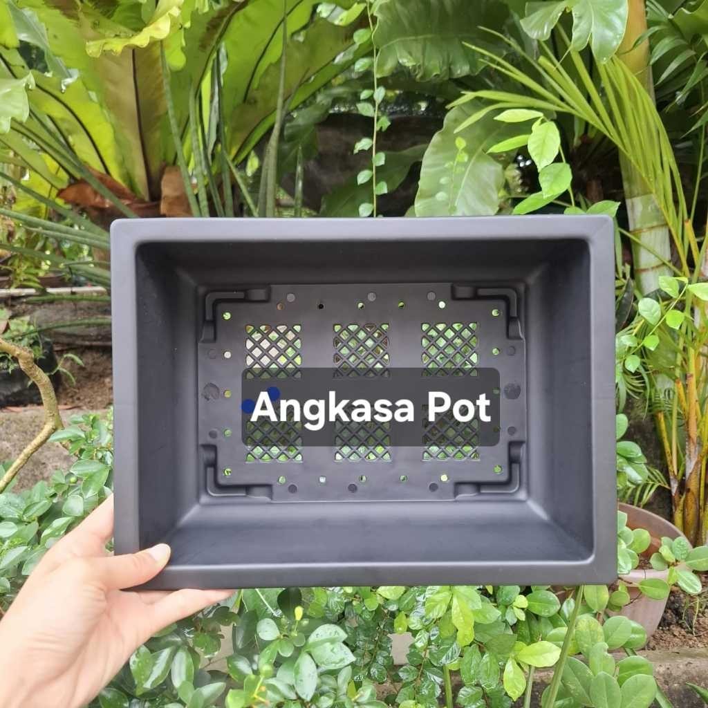 Jual (1pc) SS BONSAI PETAK 26 (29x21cm) - 20 (21x16cm) : pot bunga ...