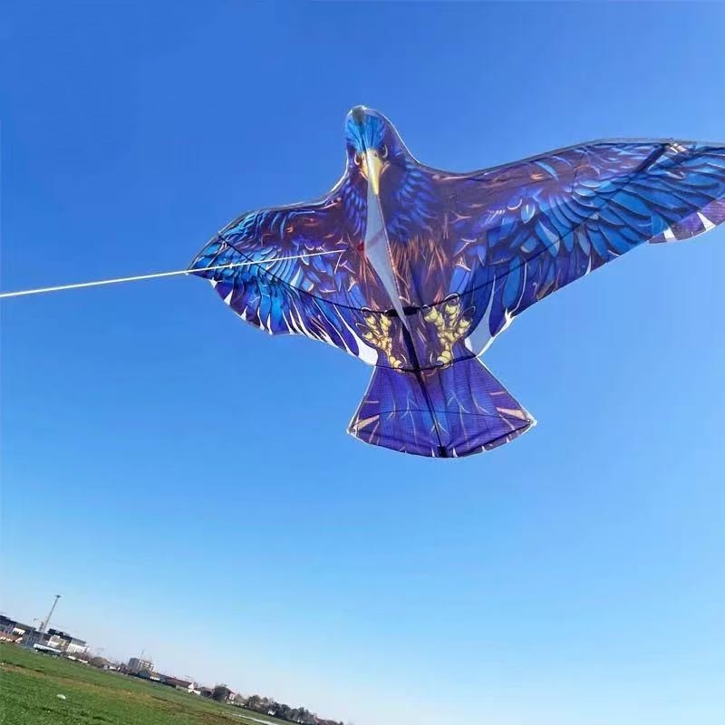 Jual Eagle Kite traditional show kite wind kites Inflatable toys ...