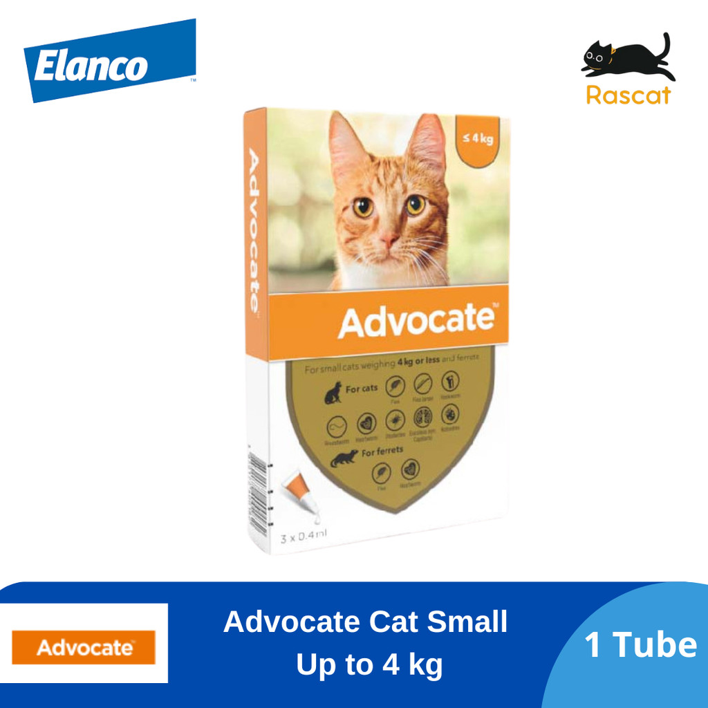 Jual Advocate Cat Small Berat 0 - 4 Kg / Obat Kutu Kucing Kitten 1 tube ...