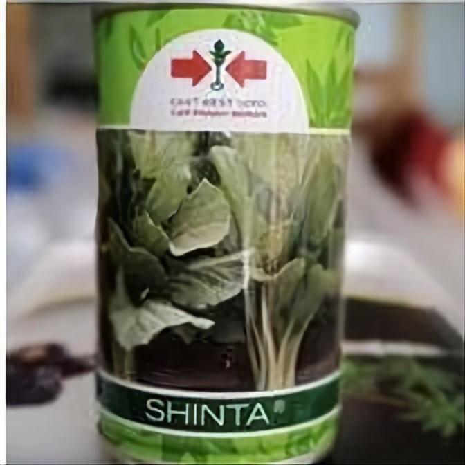 Jual Sahabat Tani5 Benih sawi SHINTA 100 gram shinta kaleng caisim ...