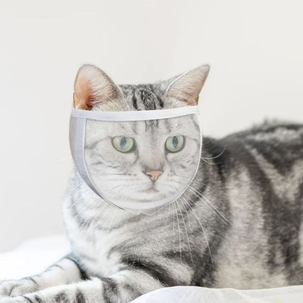 Jual TONG New Cat Anti Bite Muzzles Breathable Transparent Cat Helmet ...