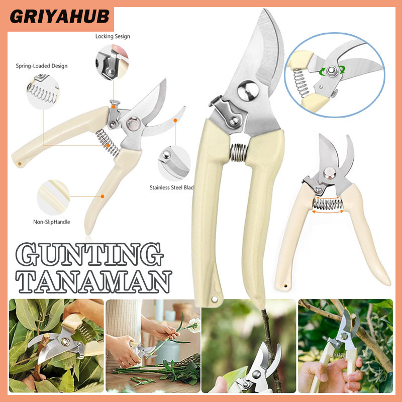 Jual Tanaman Tajam Gunting Ranting Pruning/Pruning Shears Gunting/Bunga ...