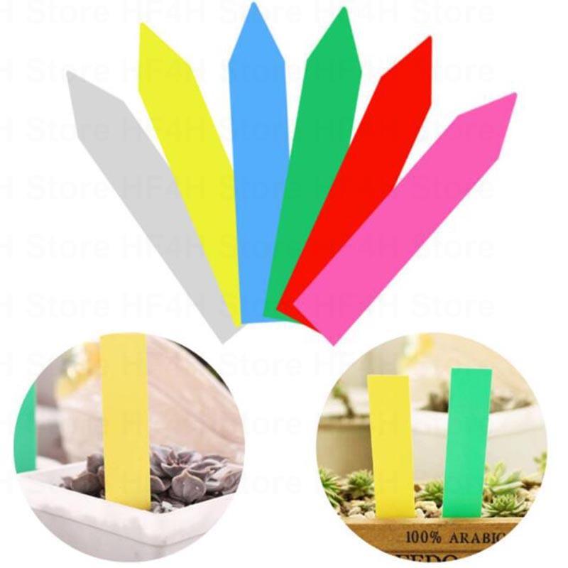 Jual PVC Plants Labels Flower Pots Markers Sign Tree Waterproof ...