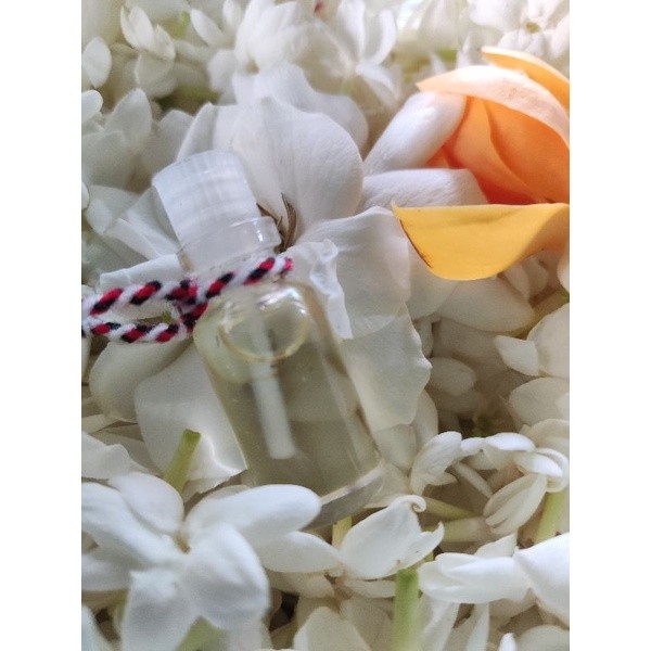 Jual Parfum Misik Putih Super Kental Grade A Asli Original | Shopee ...