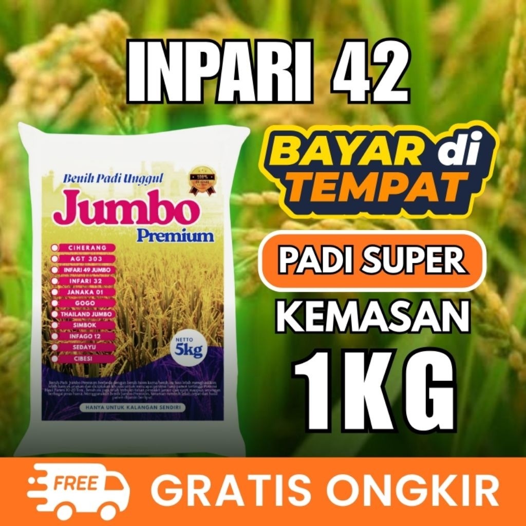Jual Benih padi unggul inpari 42 original kemasan 1kg | Shopee Indonesia