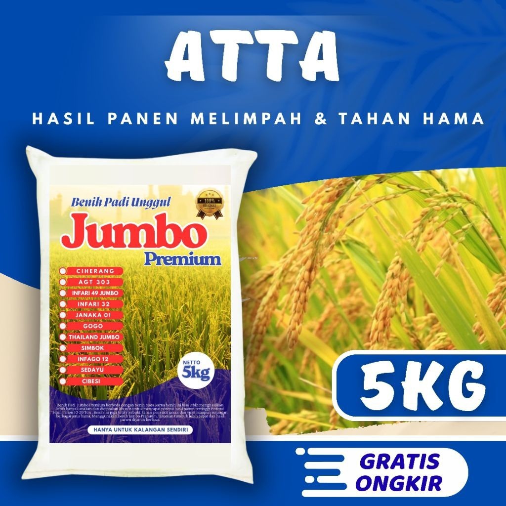 Jual Bibit Padi Unggul ATTA 5kg Berkualitas / Anti Hama / Anti Roboh ...