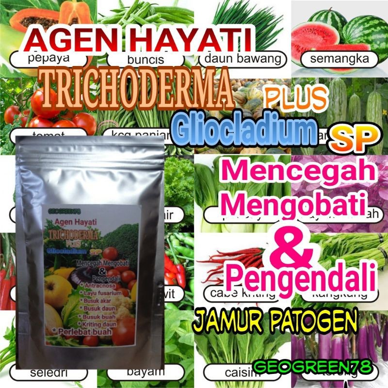 Jual Agen hayati TRICHODERMA PLUS Gliokladium SP Repak 200 gram ...